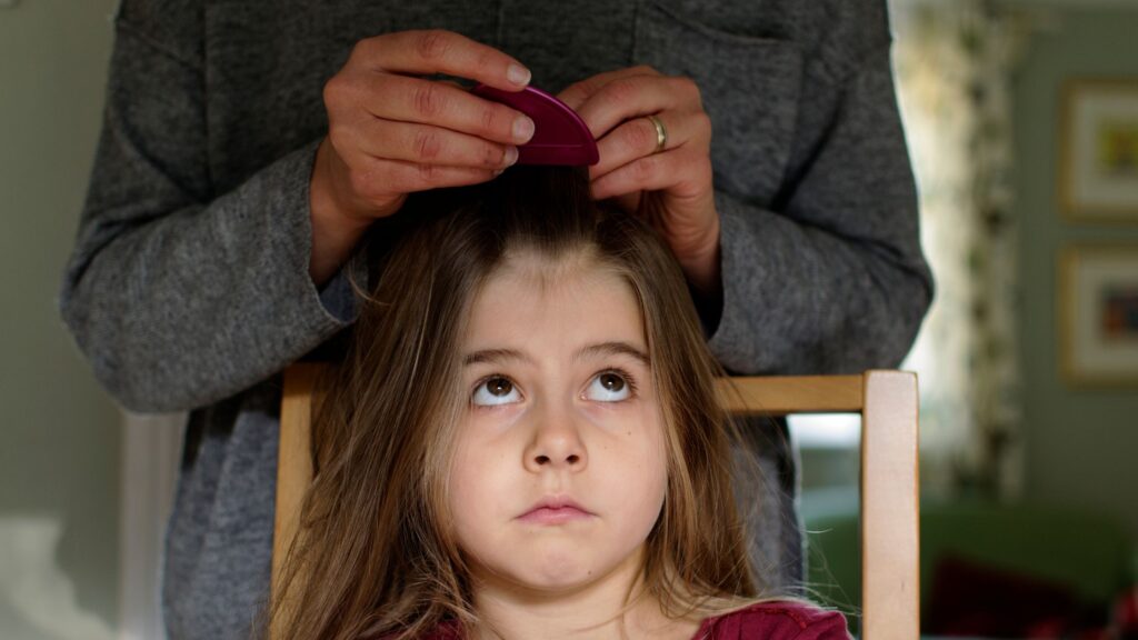 Getting Rid of Lice: Top 3 Simple & Natural Steps - Daisy Blue Naturals